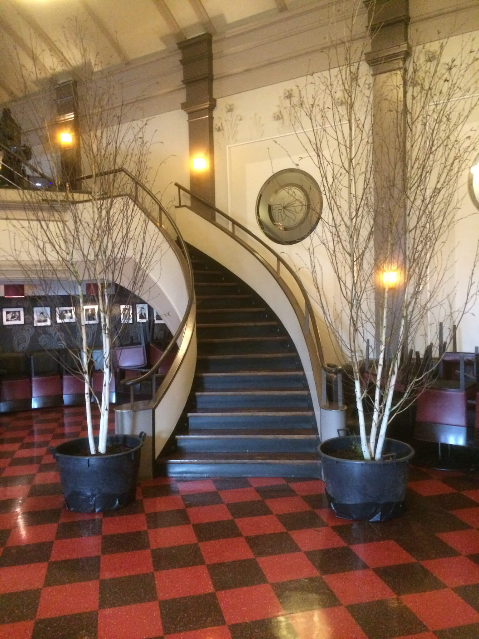 Tree Hire - Nature First Trees | Semi-Mature Trees