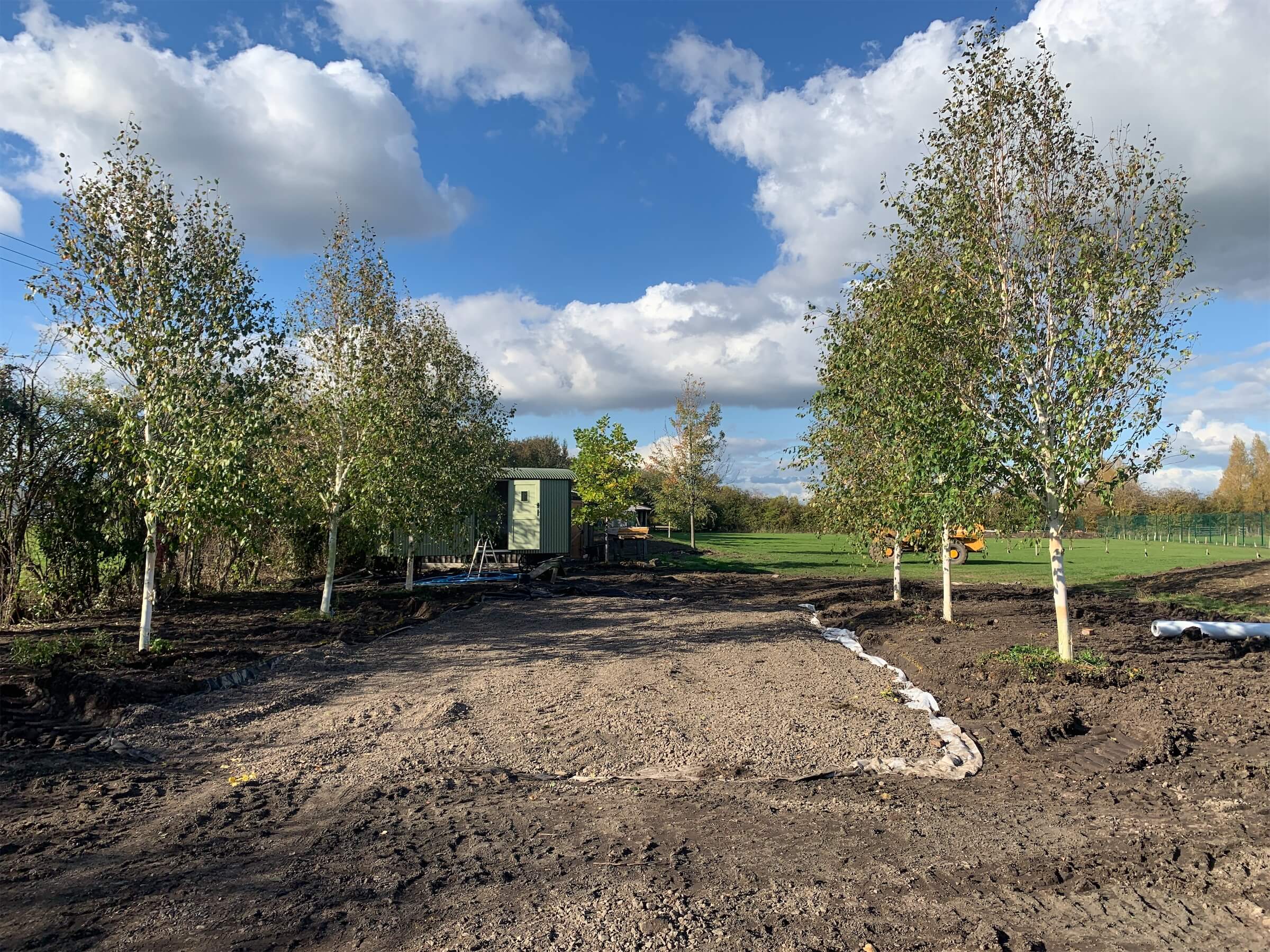 Tree Moving - Nature First Trees | Semi-Mature Trees