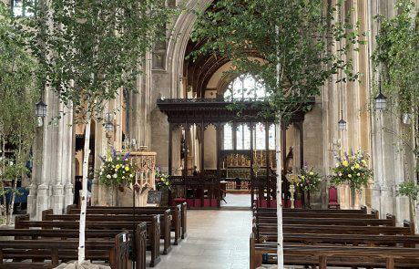 Tree Hire - Nature First Trees | Semi-Mature Trees