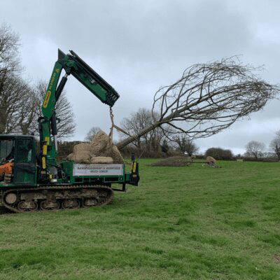 Nature First Trees - The Semi-Mature Tree Specialist
