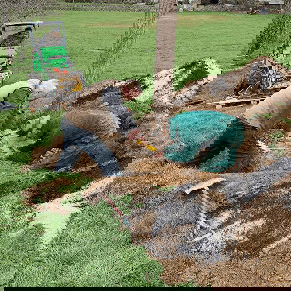 Nature First Trees - The Semi-Mature Tree Specialist