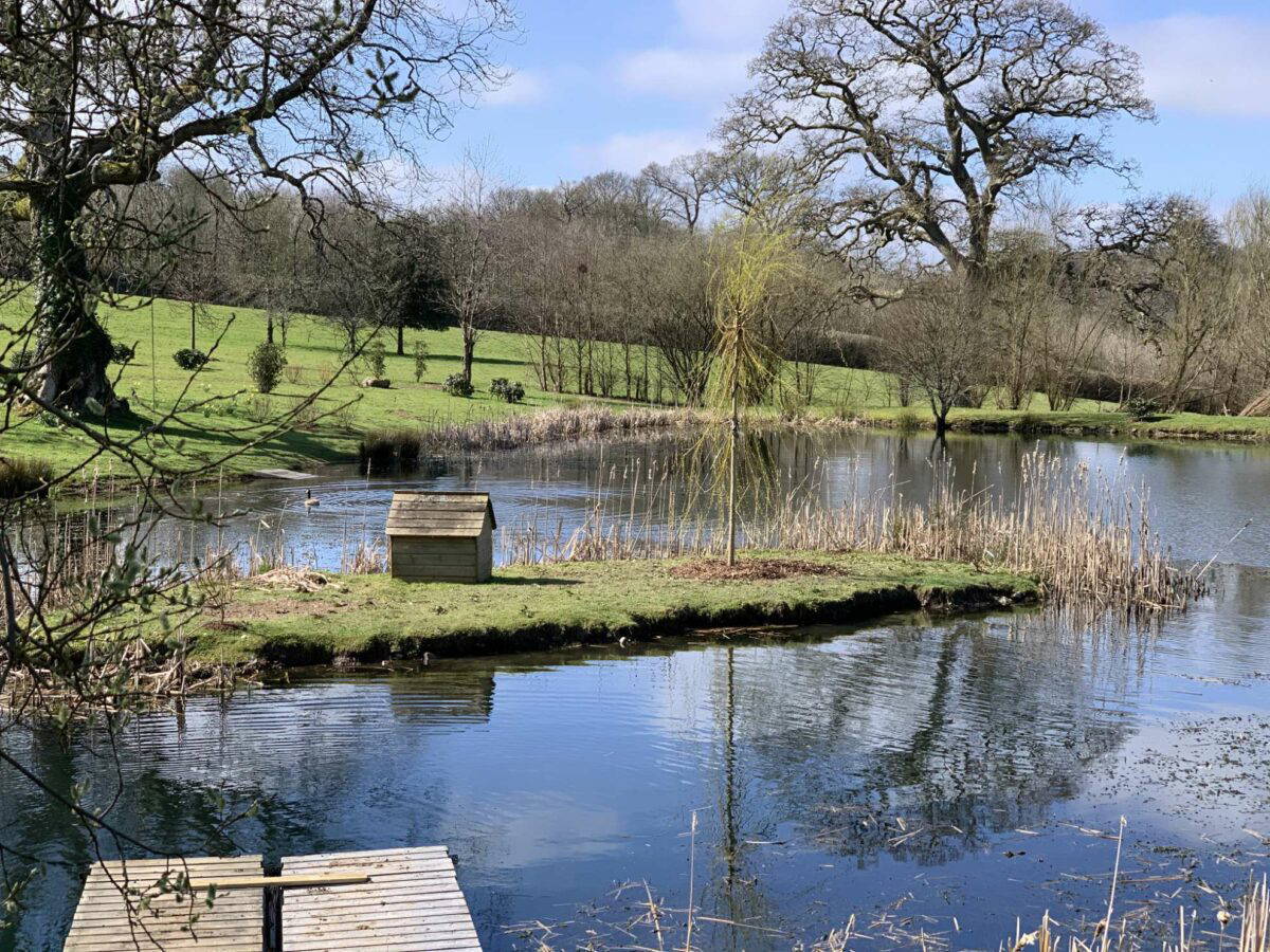 Private estate in Devon - Nature First Trees | Semi-Mature Trees