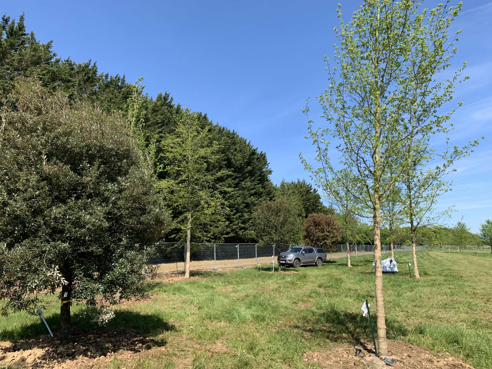 Private Estate in Oxfordshire - Nature First Trees | Semi-Mature Trees