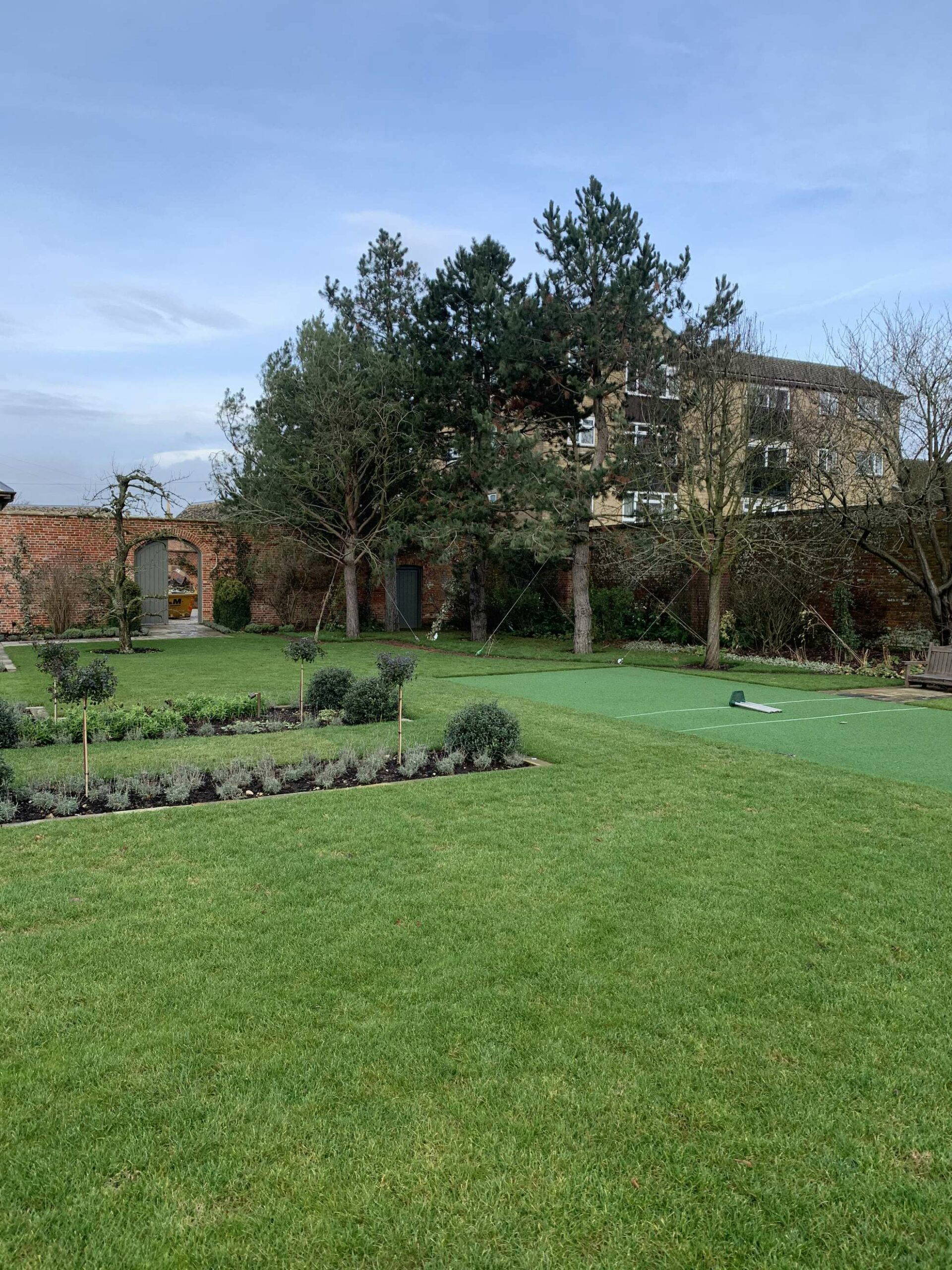 Large Tree Screening Project - Nature First Trees | Semi-Mature Trees