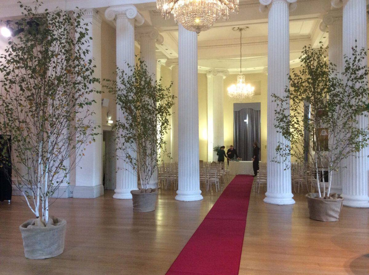 Tree Hire - Nature First Trees | Semi-Mature Trees