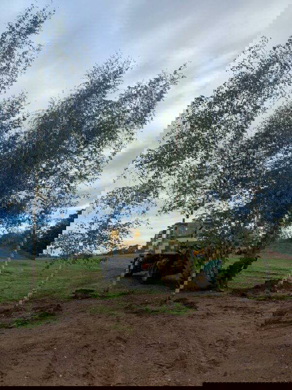 Tree Moving - Nature First Trees | Semi-Mature Trees