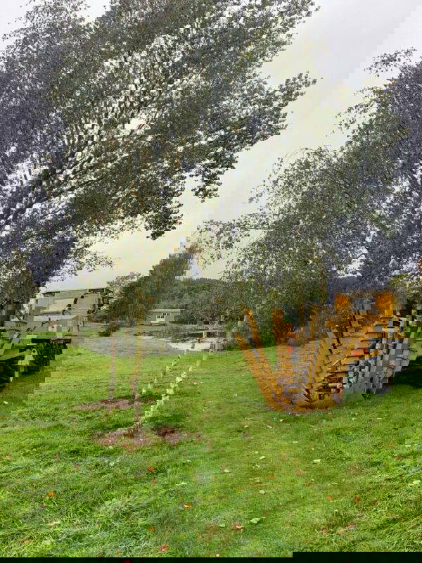 Tree Moving - Nature First Trees | Semi-Mature Trees