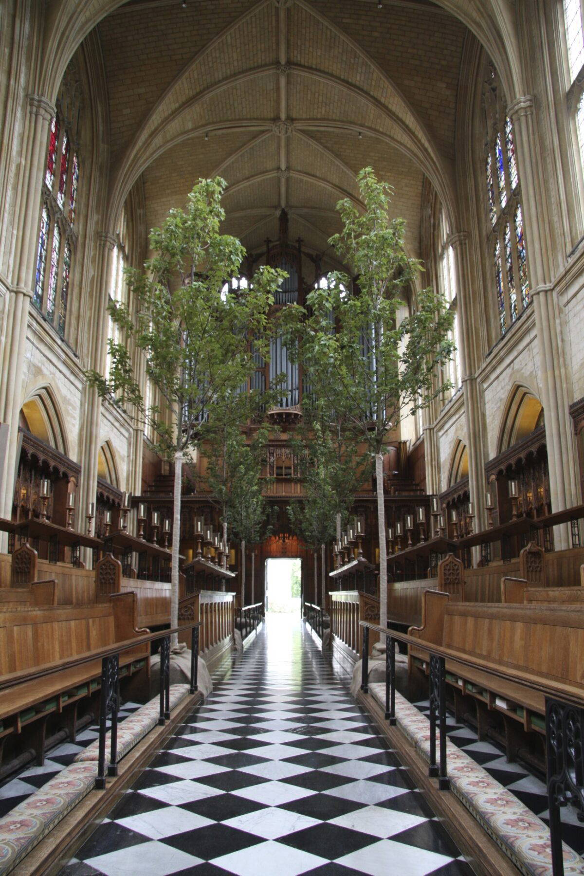 Tree Hire - Nature First Trees | Semi-Mature Trees