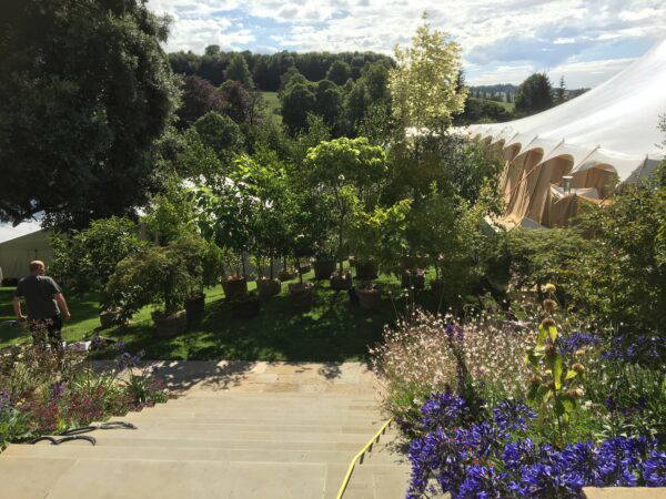 Tree Hire - Nature First Trees | Semi-Mature Trees